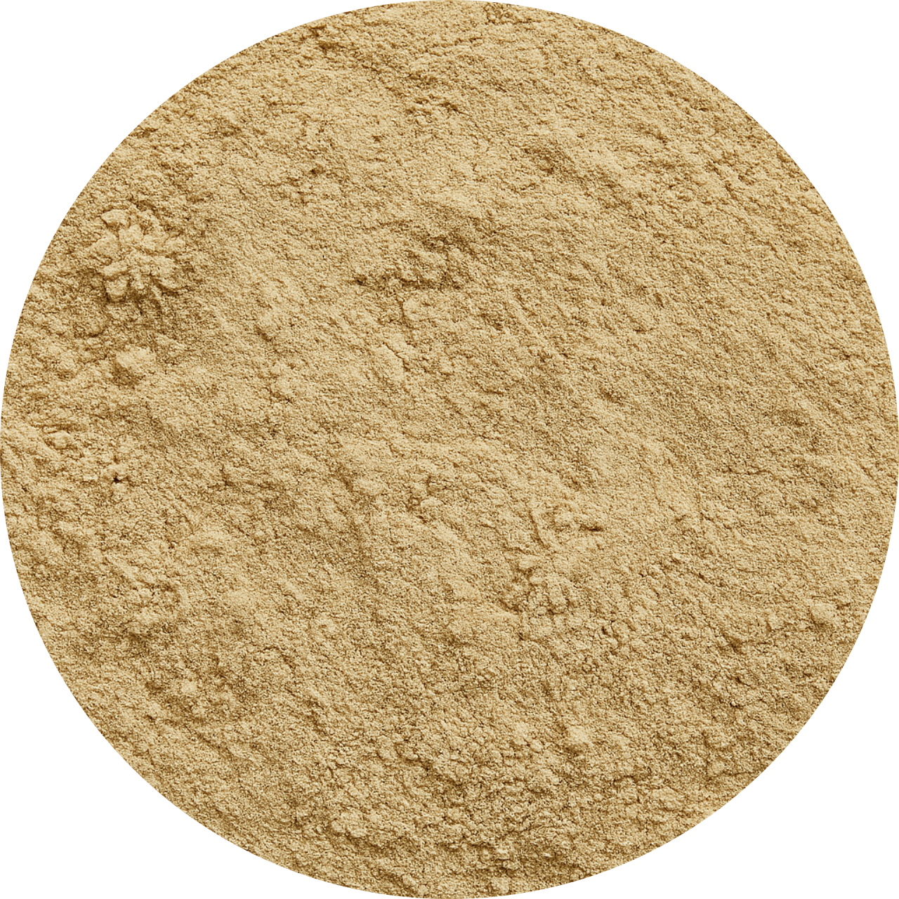 DR T&T San Qi / Tian Qi / Notoginseng Root / Notoginseng Radix powder ...